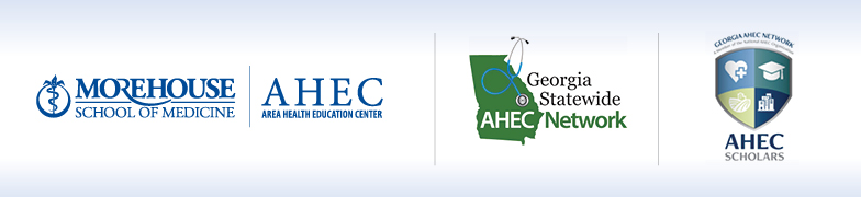 Georgia Interprofessional Curriculum Advisory Network (GA ICAN ...